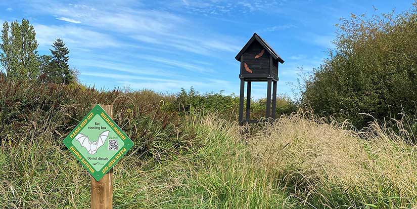 RichmondSentinel | Pop-up bat booths coming to Richmond in July