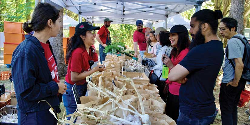 RichmondSentinel | Get ready to savour the flavour: Richmond Garlic Fest returns August 16